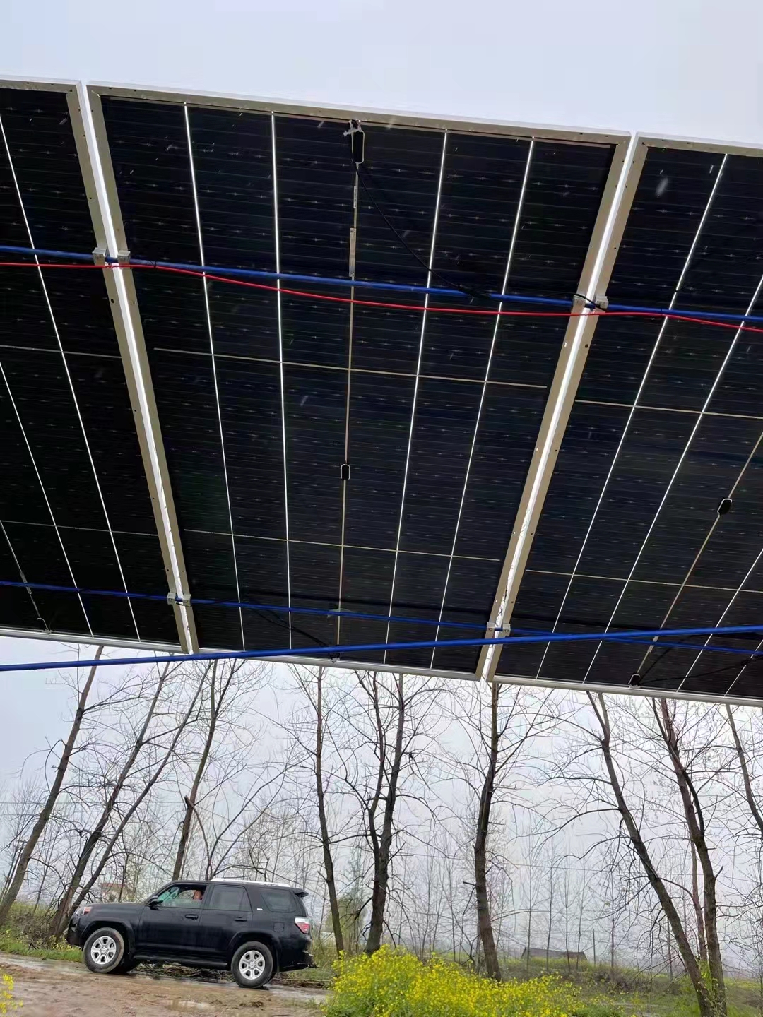 Solar Mounting New Choice: Cable Structure System Explained - sharesunpv