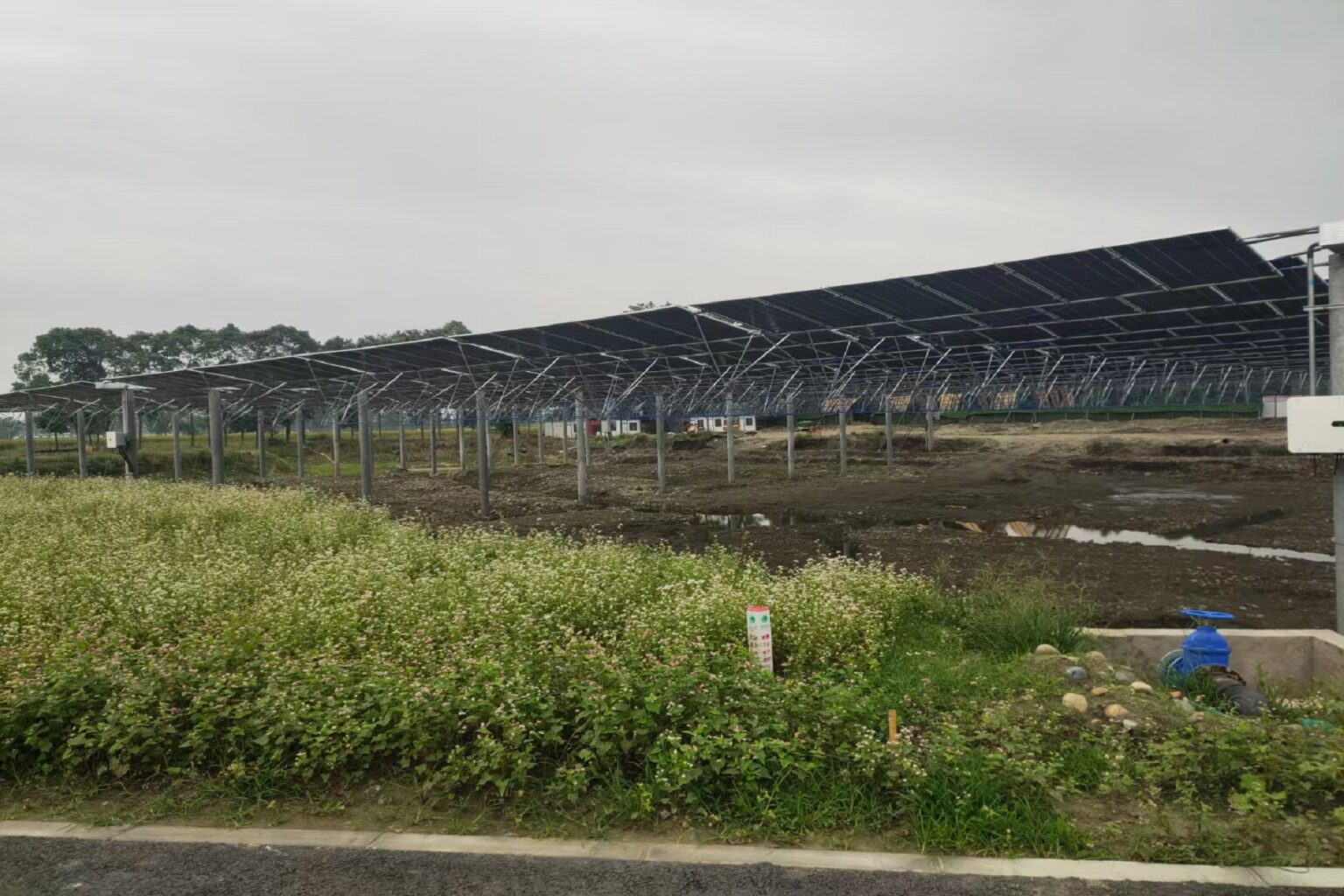 What Are the Advantages of Solar on Farmland Mounting Systems? - sharesunpv