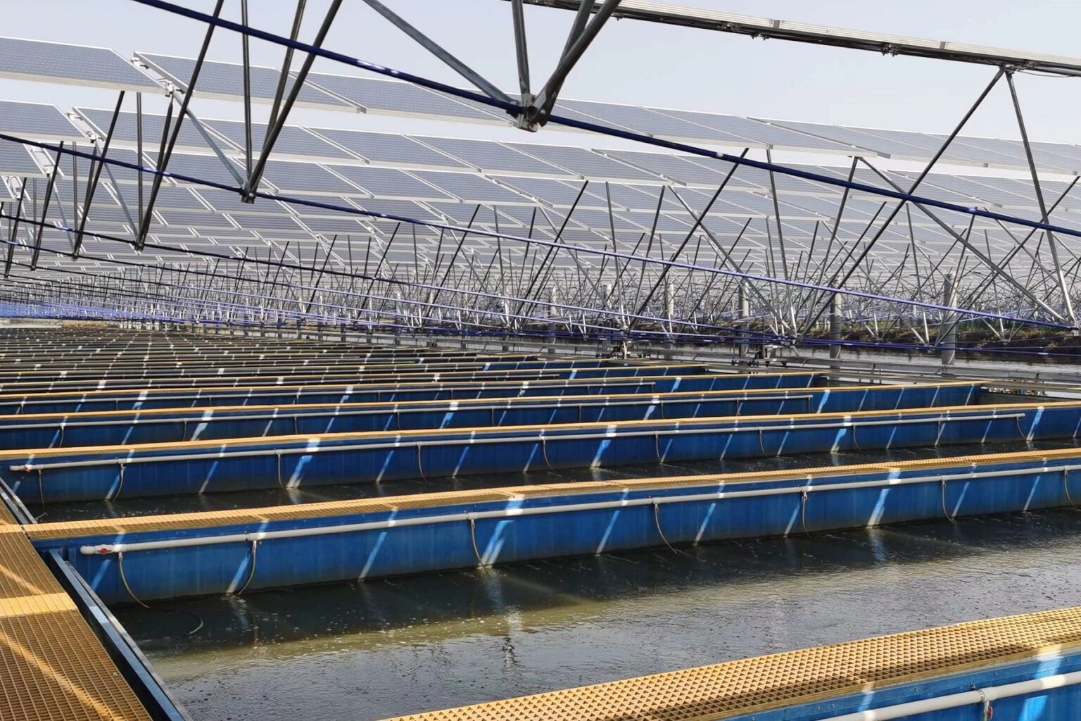 Ground-Mounted Solar Mounting System Installation Guide and Precautions ...